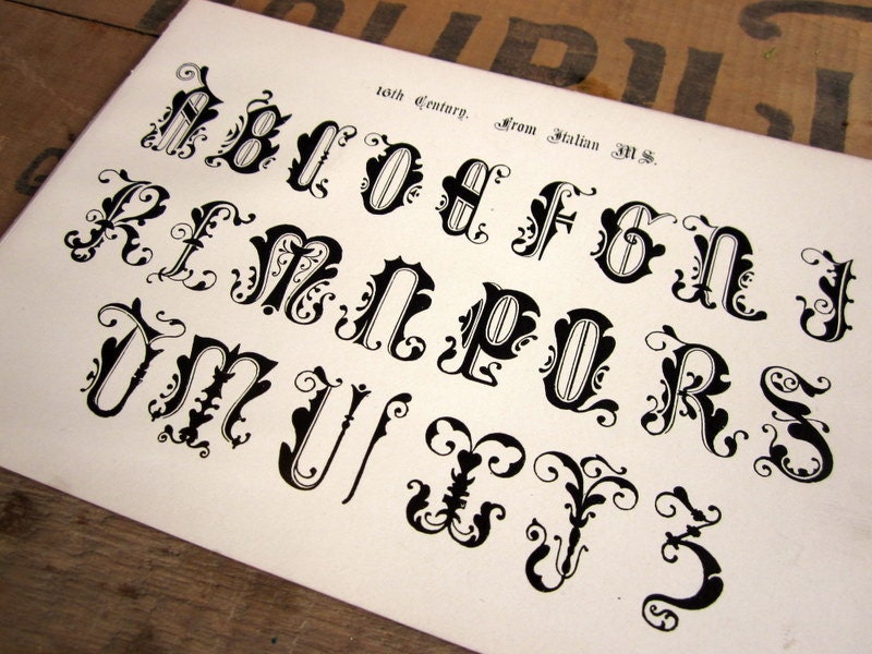 16th century typography | Typography love, Typography, Artsy