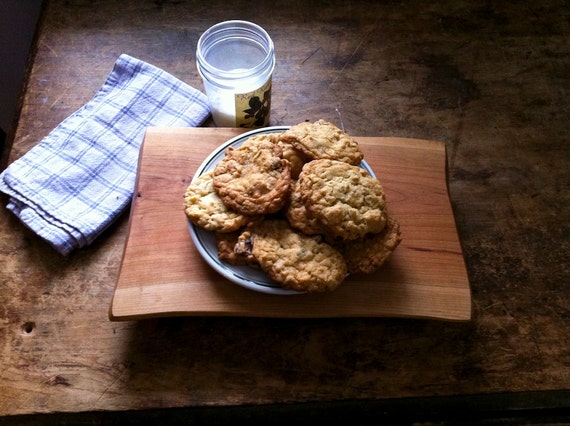 Some Cheese | the shellhammer